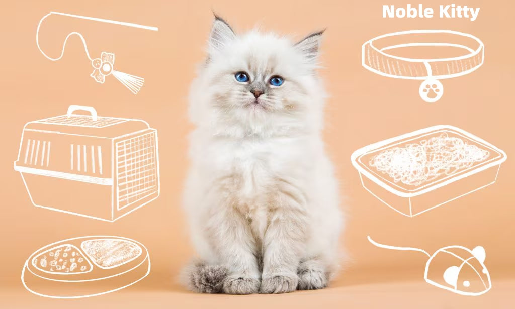 Comprehensive Guide for First-Time Cat Owners – NobleKitty
