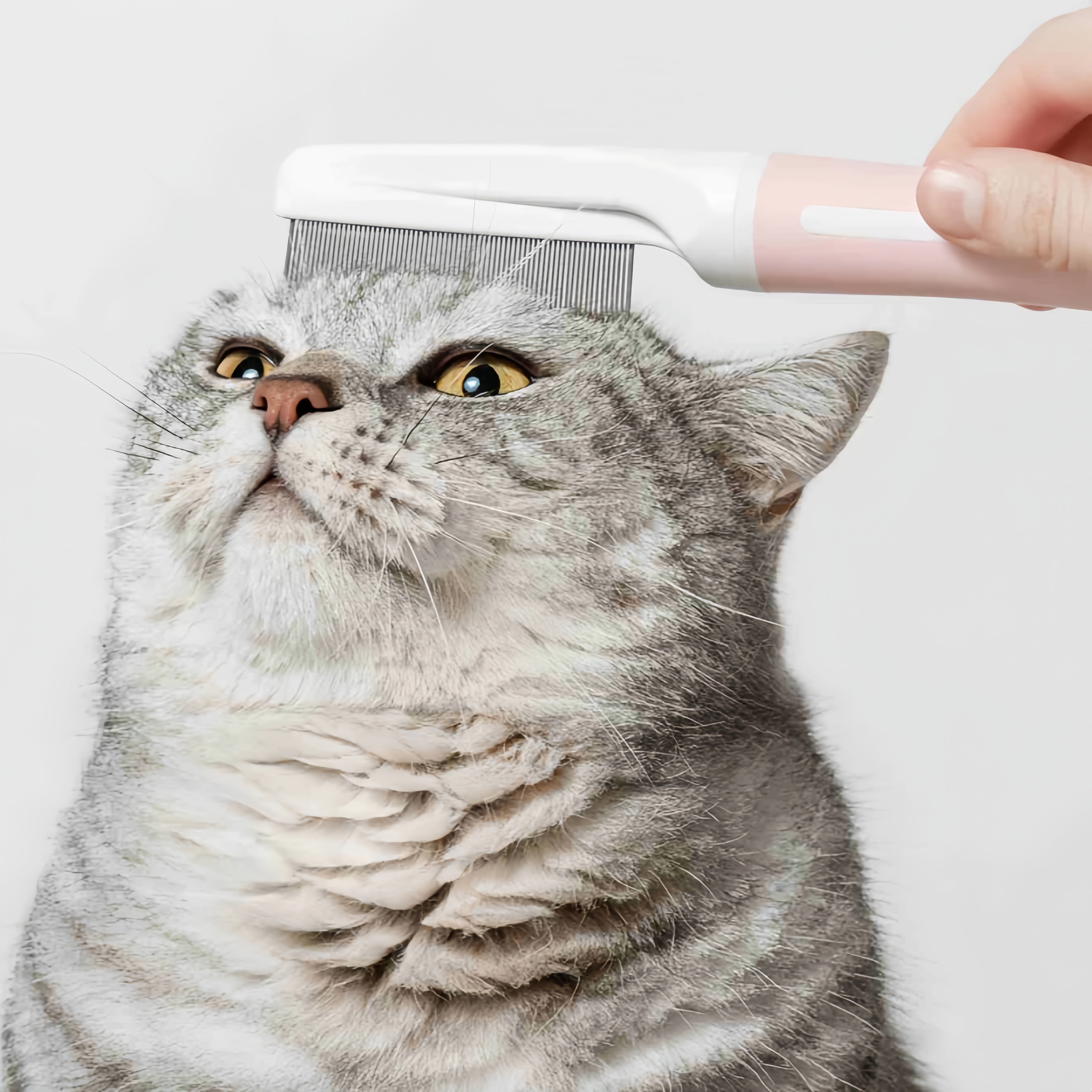 Noblekitty Cat Comb – NobleKitty